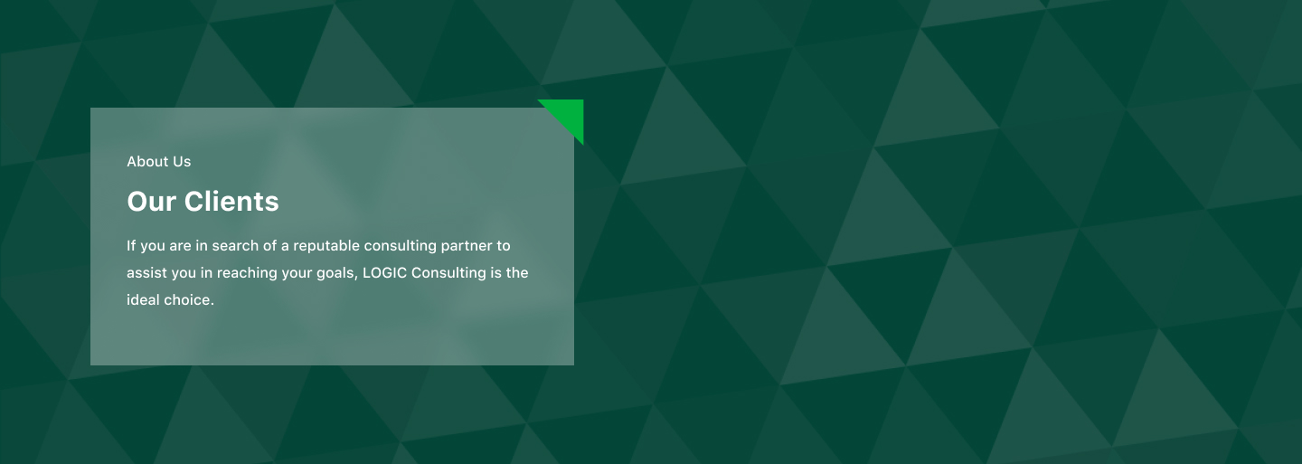 Our Clients - LOGIC Consulting