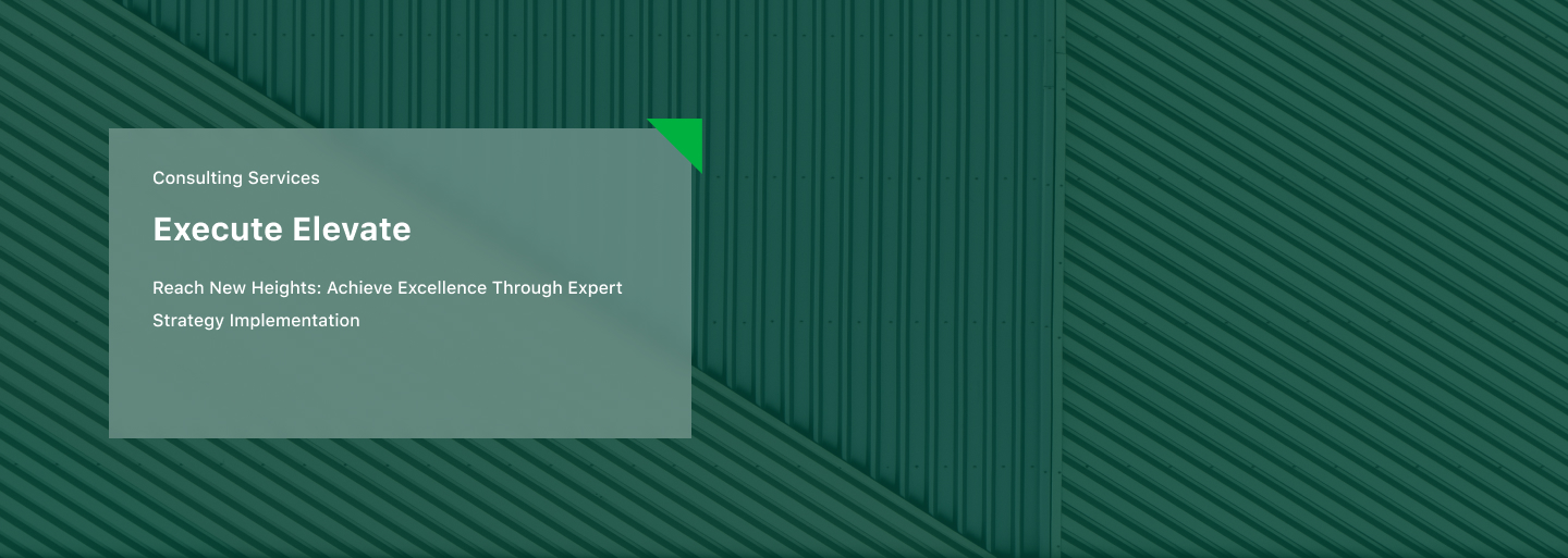 Execute Elevate - LOGIC Consulting