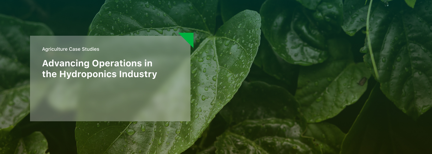 Advancing Operations in the Hydroponics Industry - LOGIC Consulting