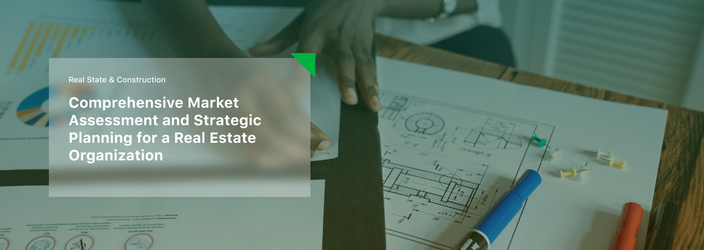 Comprehensive Market Assessment and Strategic Planning for a Real ...