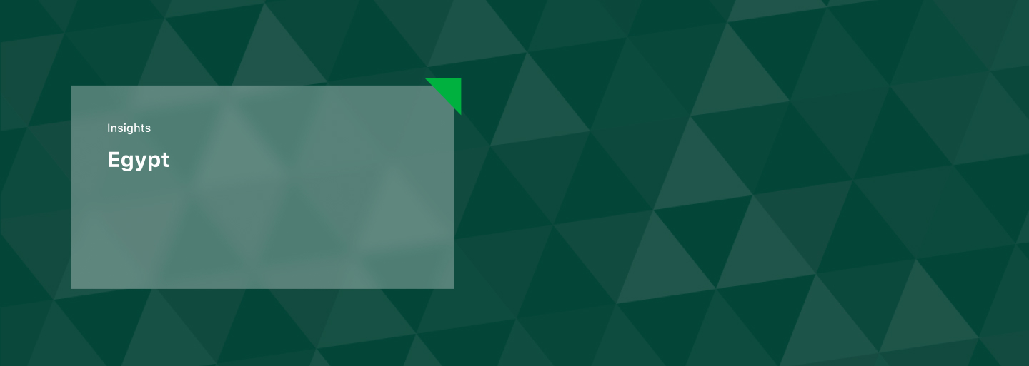 Egypt - LOGIC Consulting