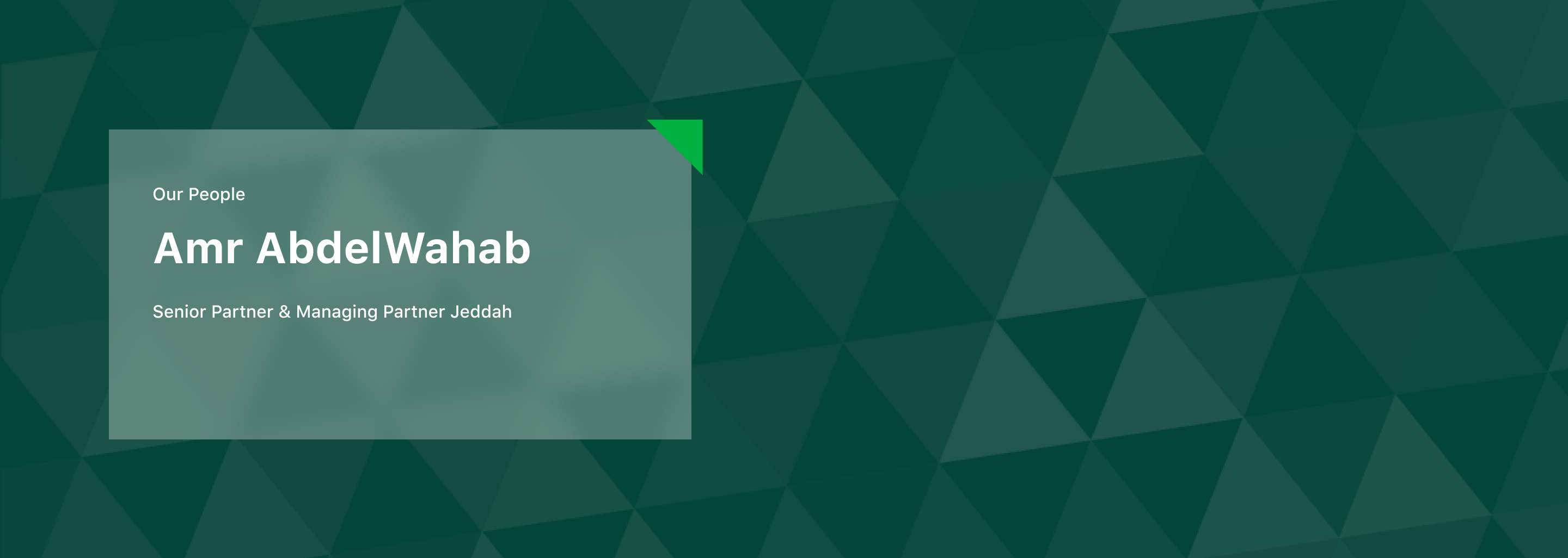 Amr AbdelWahab - LOGIC Consulting